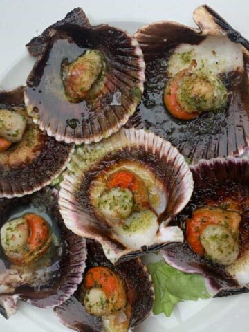 16 Must-Try Basque Foods: Best Basque Food To Travel For