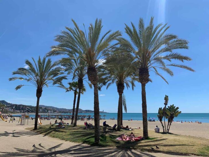 Guide To The Spectacular Feria De Jerez: What To See & Do