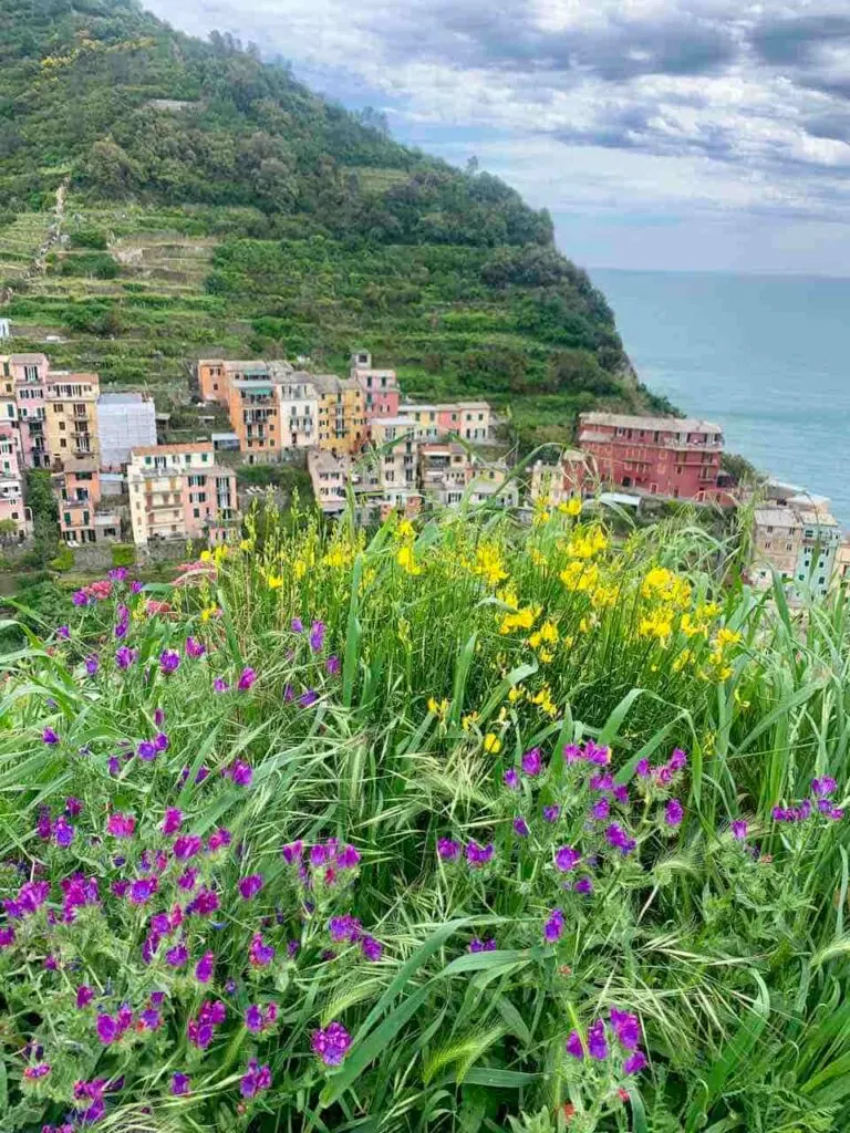 The Ultimate Cinque Terre Hike 2024: All You Need to Know