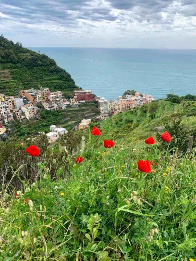 The Ultimate Cinque Terre Hike 2024: All You Need to Know