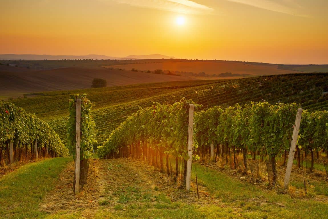 Explore Tuscany In October: Weather, Best Things To Do 2025